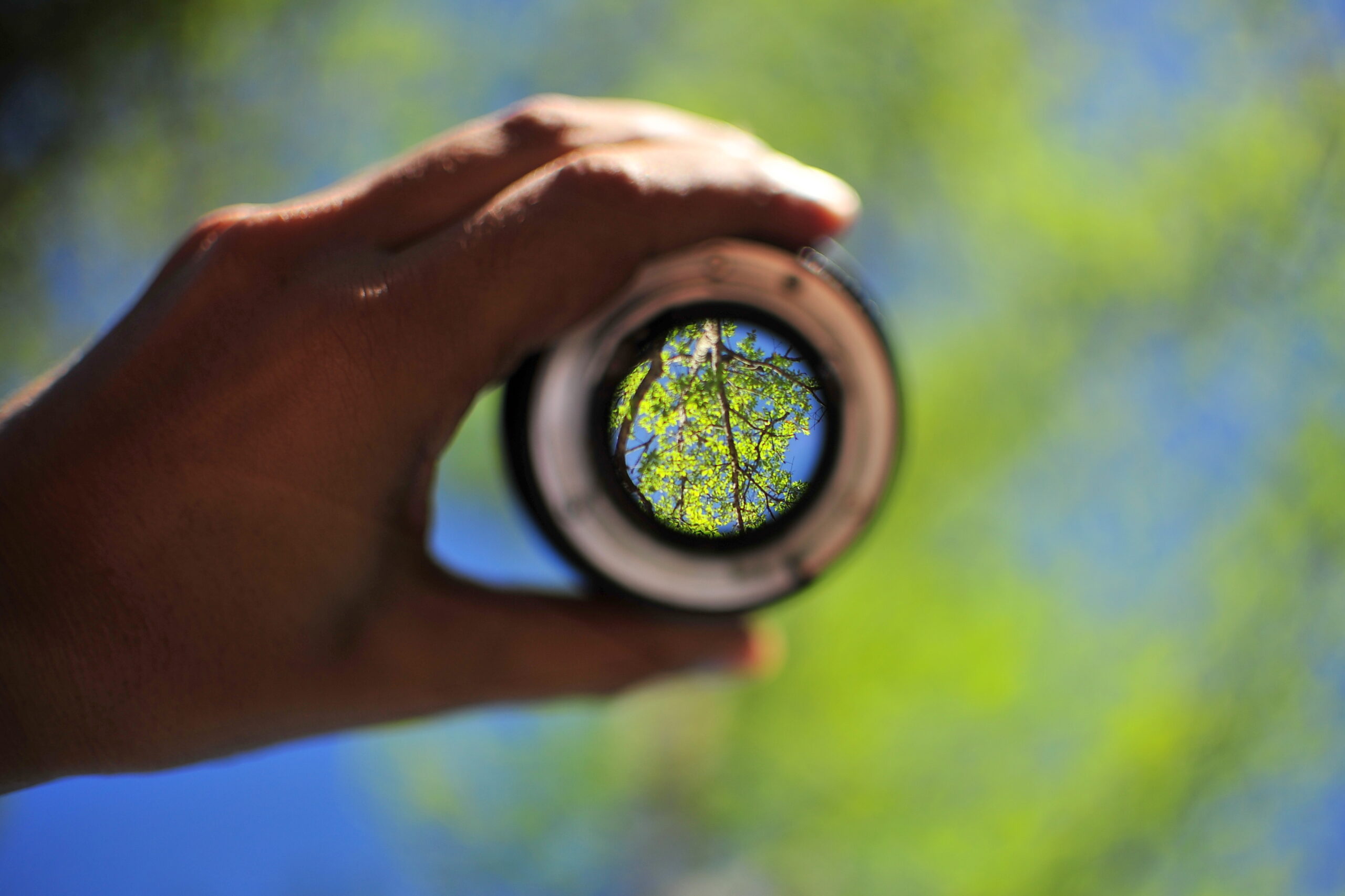 Thriving Through Change: A Guide for Nonprofits| Perkins & Co